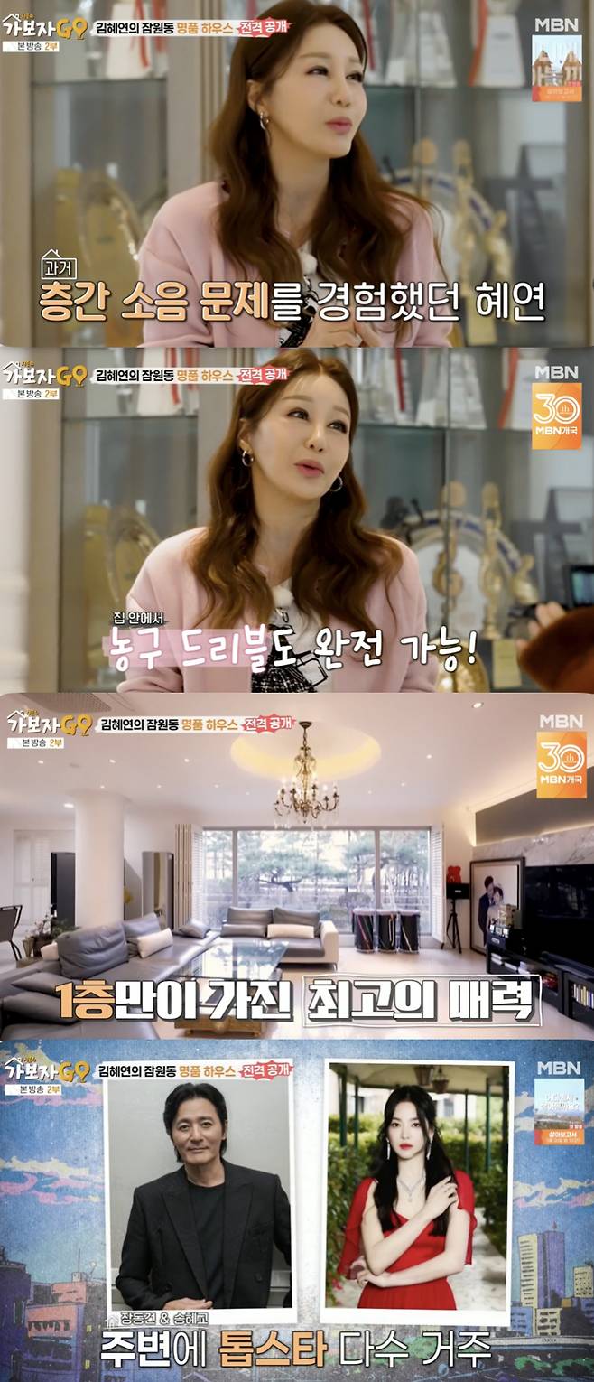 김혜연, '뱀이야'로 구매한 강남 88평 집 공개.."이웃=장동건"[가보자GO][★밤TView]