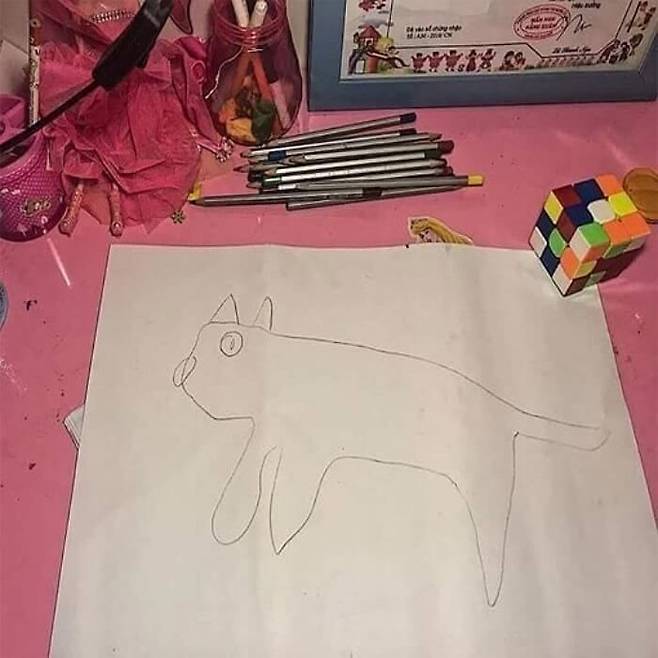 선생님이 낸 숙제 고양이 그림 그릴 자신 없었던 딸이 단 3초만에 끝낸 방법 애니멀 플래닛