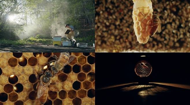 EBS 다큐프라임 ‘꿀벌’, 기존 다큐공식 벗어난 SF 자연다큐멘터리
