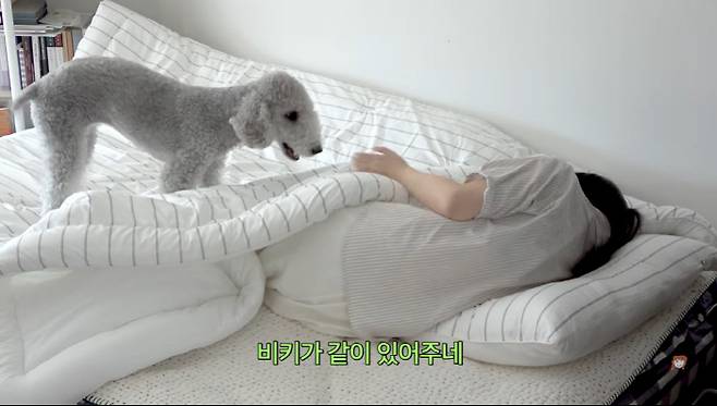 Uhm Ji Won explains collapsed crew member's dog bed during filming ...