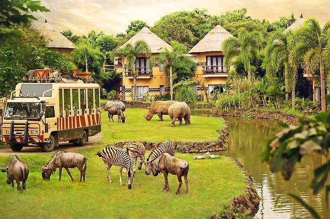 발리 속 작은 아프리카발리에서 만나는 아프리카 사파리 특별한 가족 여행지 추천 이앤투어픽